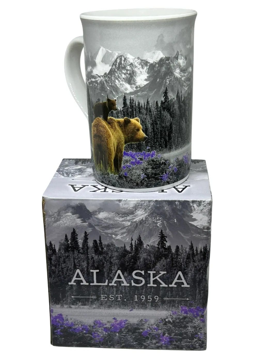 Color Pop Grizzly, Boxed Mug — Polar Bear Gifts
