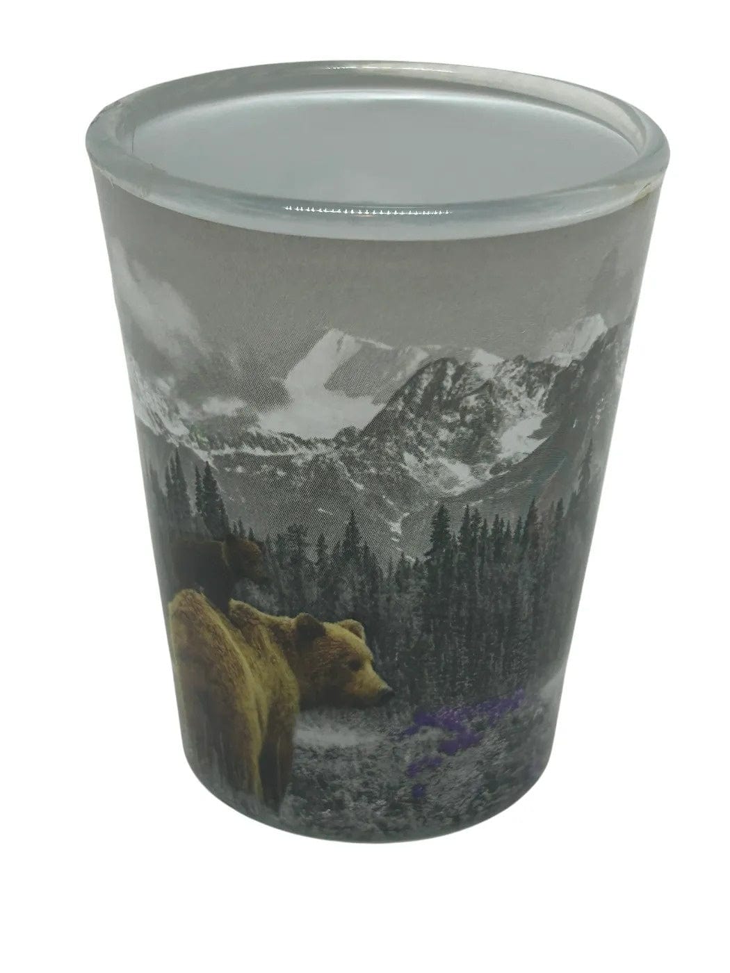 Color Pop Shot glass — Polar Bear Gifts